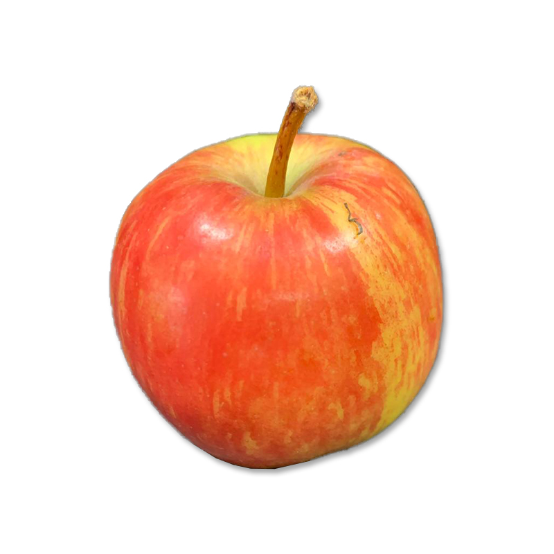 Apple Festive – Organically Grown