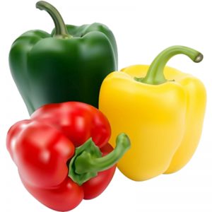 Capsicum Multi Color – Organically Grown