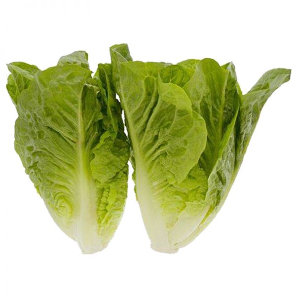 Lettuce Cos x 2 pack – Organically Grown
